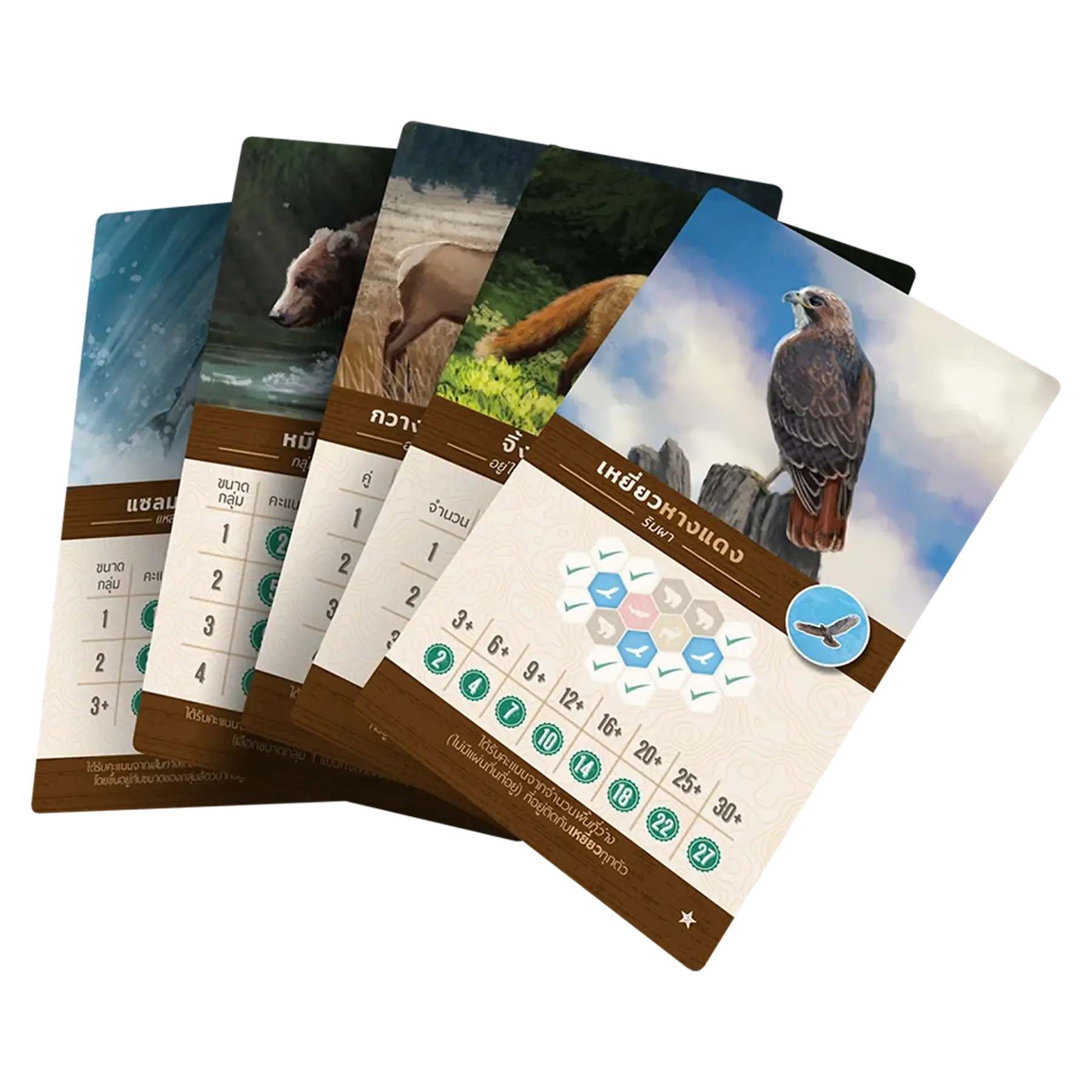 CASCADIA PROMOS CARDS การ์ดโปรโมคาสคาเดีย TH – Tower Tactic Games
